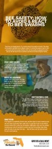 Bee Safety: How to Avoid & React to Bee Swarms [infographic] | Florida ...
