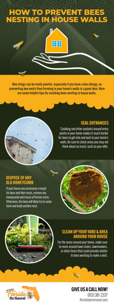 How to Prevent Bees Nesting in House Walls [infographic] | Florida Bee ...