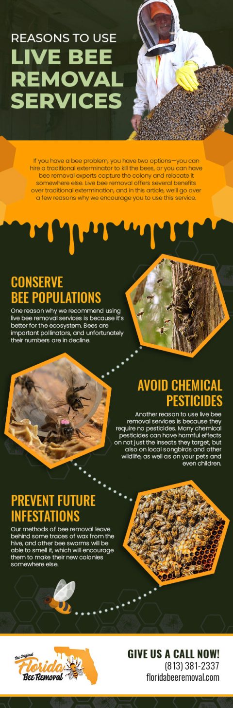 Reasons to Use Live Bee Removal Services [infographic] | Florida Bee ...